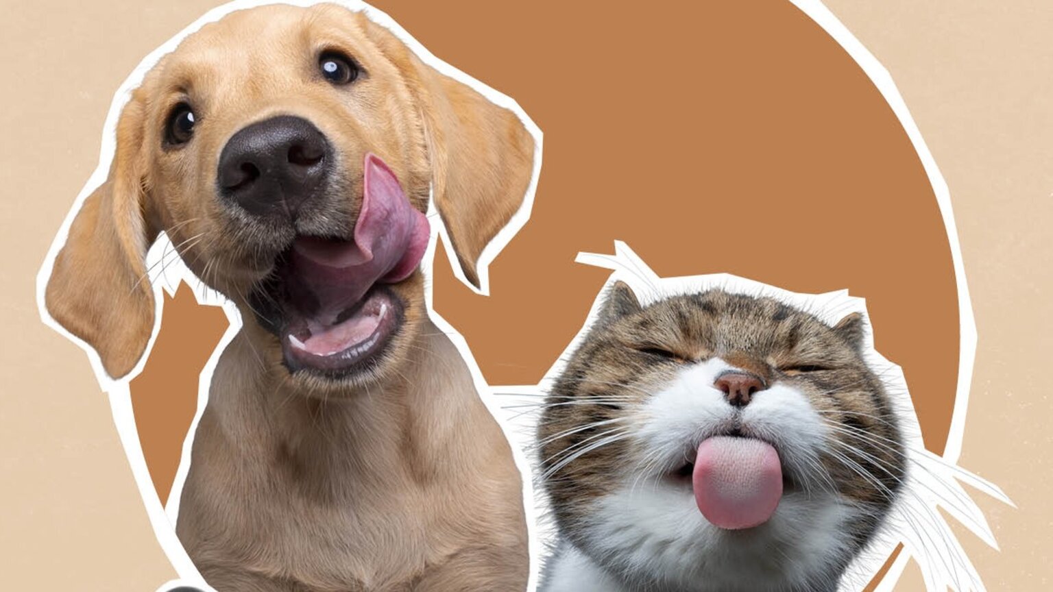 EGK-Cassa della salute: assicurati in modo sano - EGK