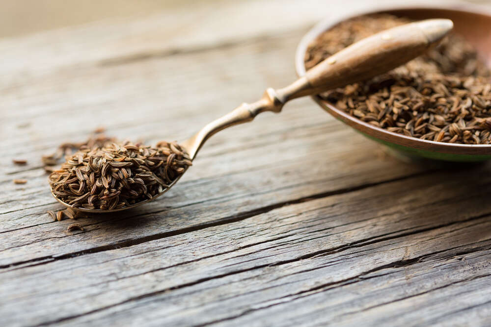 Herbes et plantes médicinales : le carvi - EGK