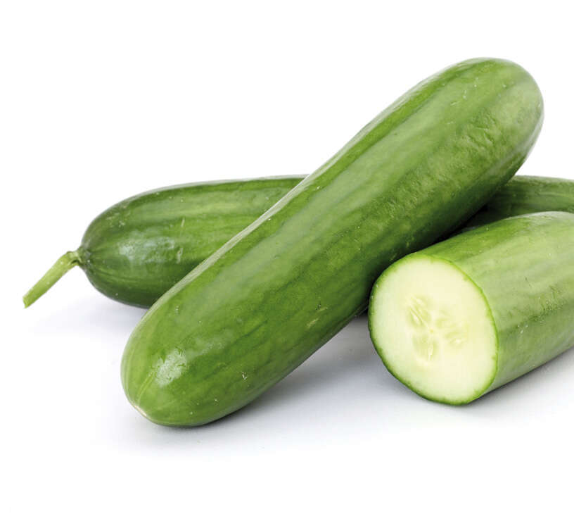 Heilkräuter und Heilpflanzen: Gurke – EGK